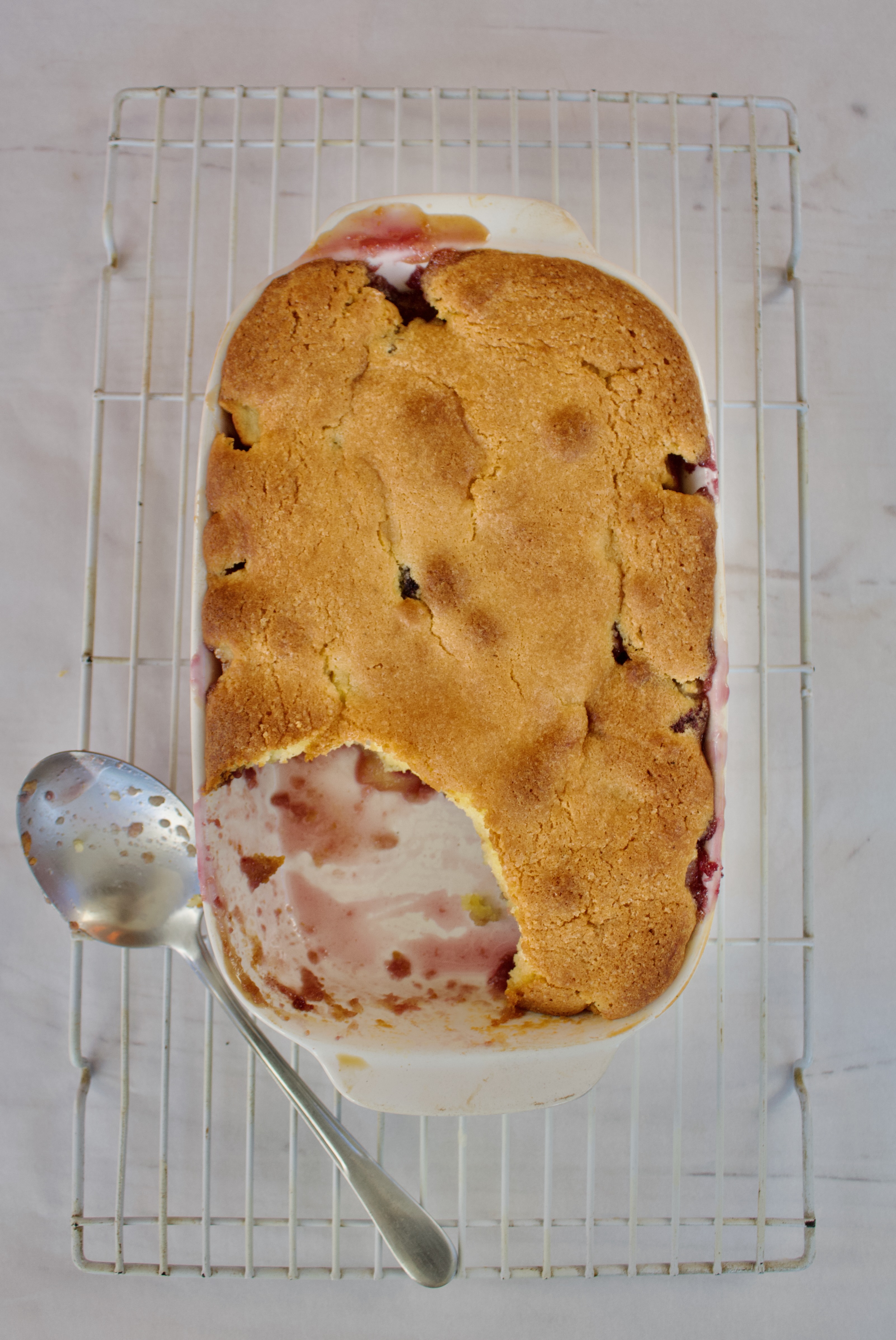 Sponge on Fruit – My Whisk and I